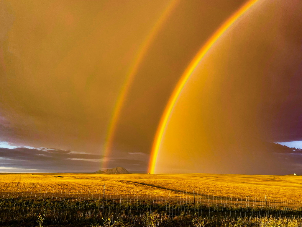 Home Page - Mandy Froelich